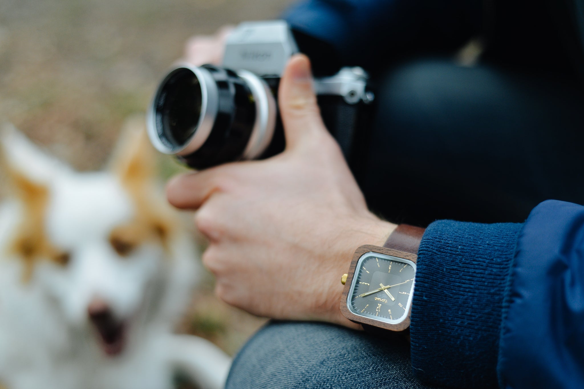 Labrador Premium Leather – Tense Watches (US)